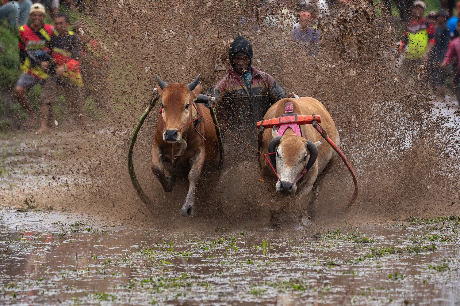 1839 Awards | Radim Bulinsky | Nominee (Cultures and Traditions)
