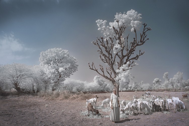 1839 Awards | Betina Samaia | Silver (Conceptual)