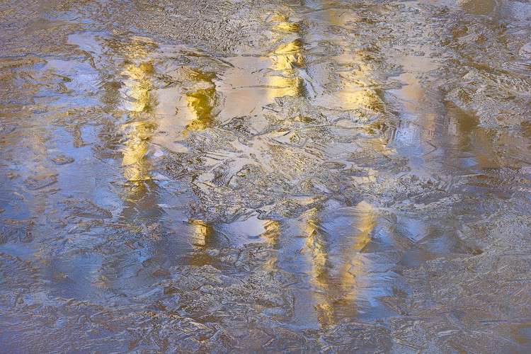 1839 Awards | Joey Priola | Nominee (Nature)