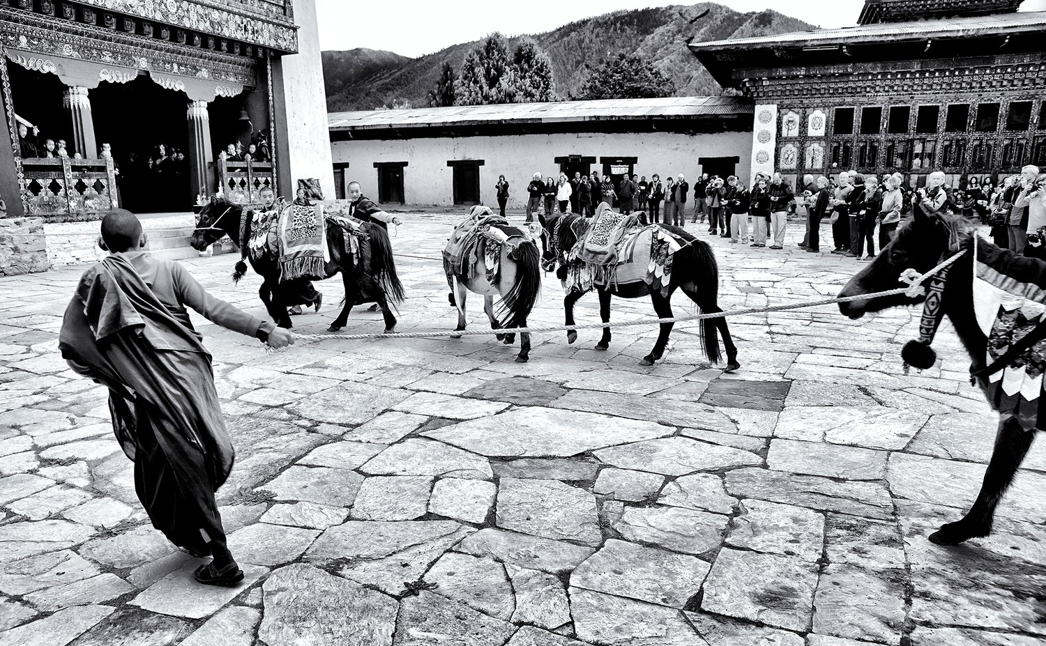 1839 Awards | Stuart Chape | Honorable Mention (Cultures and Traditions)