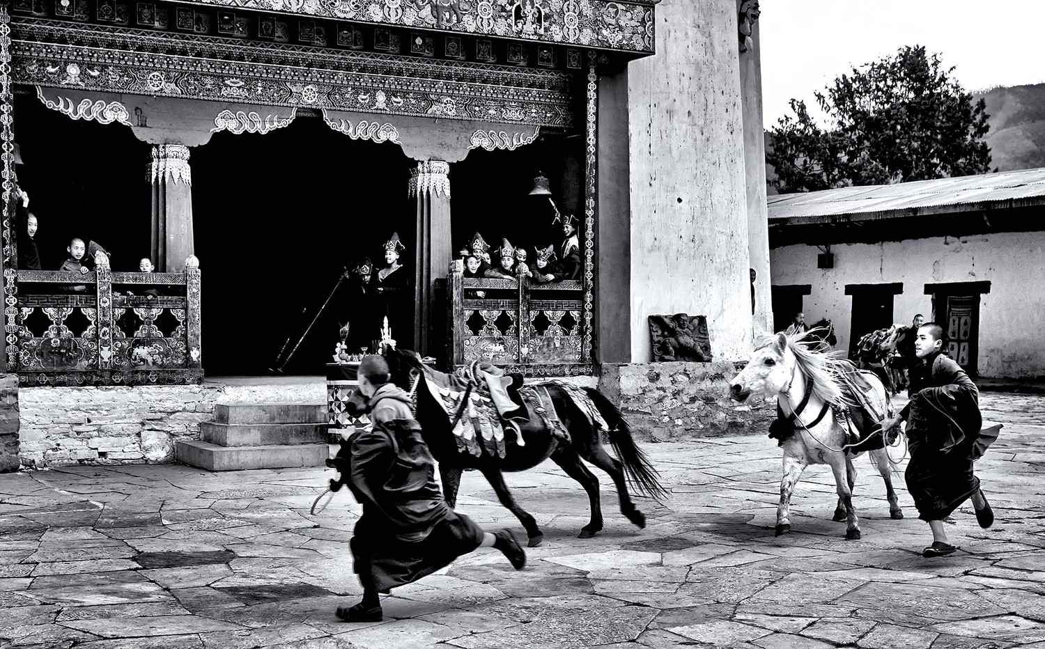 1839 Awards | Stuart Chape | Honorable Mention (Cultures and Traditions)