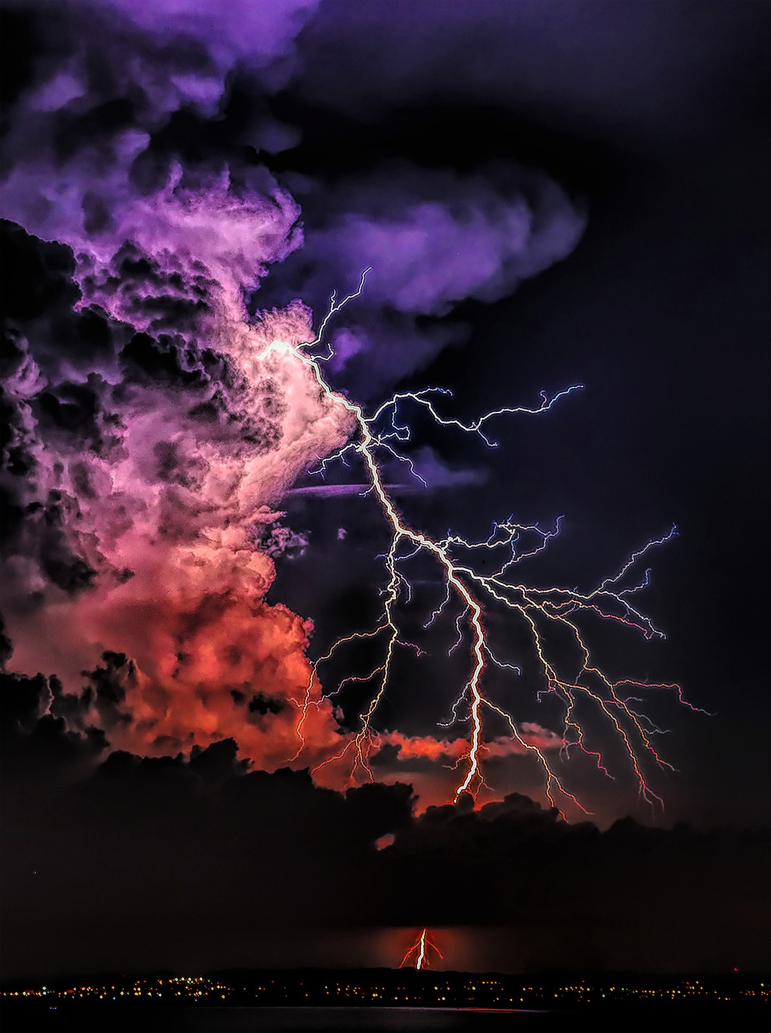 1839 Awards | Graeme Guy | Honorable Mention (Natural World)