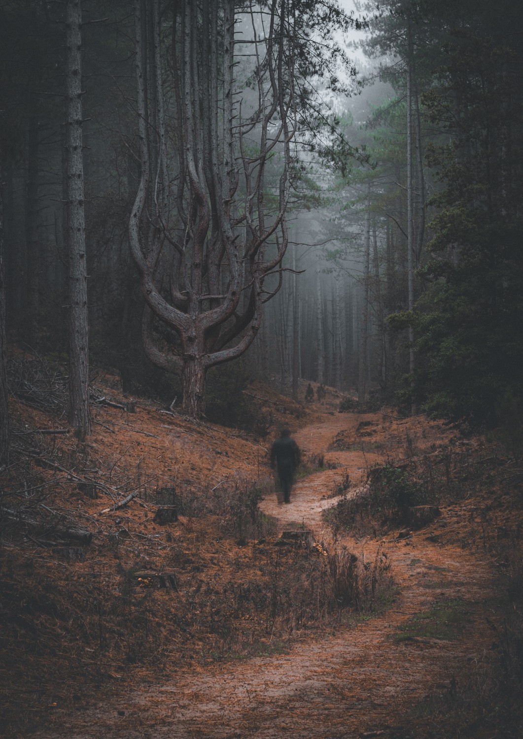 1839 Awards | James Crisp | Nominee (Portrait of a Place)