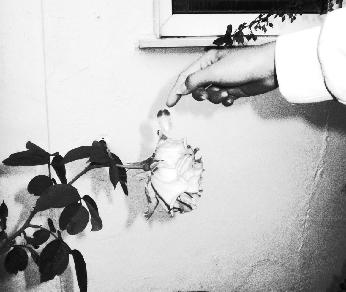 1839 Awards | Nick Stonehouse | Honorable Mention (Conceptual/Abstract)