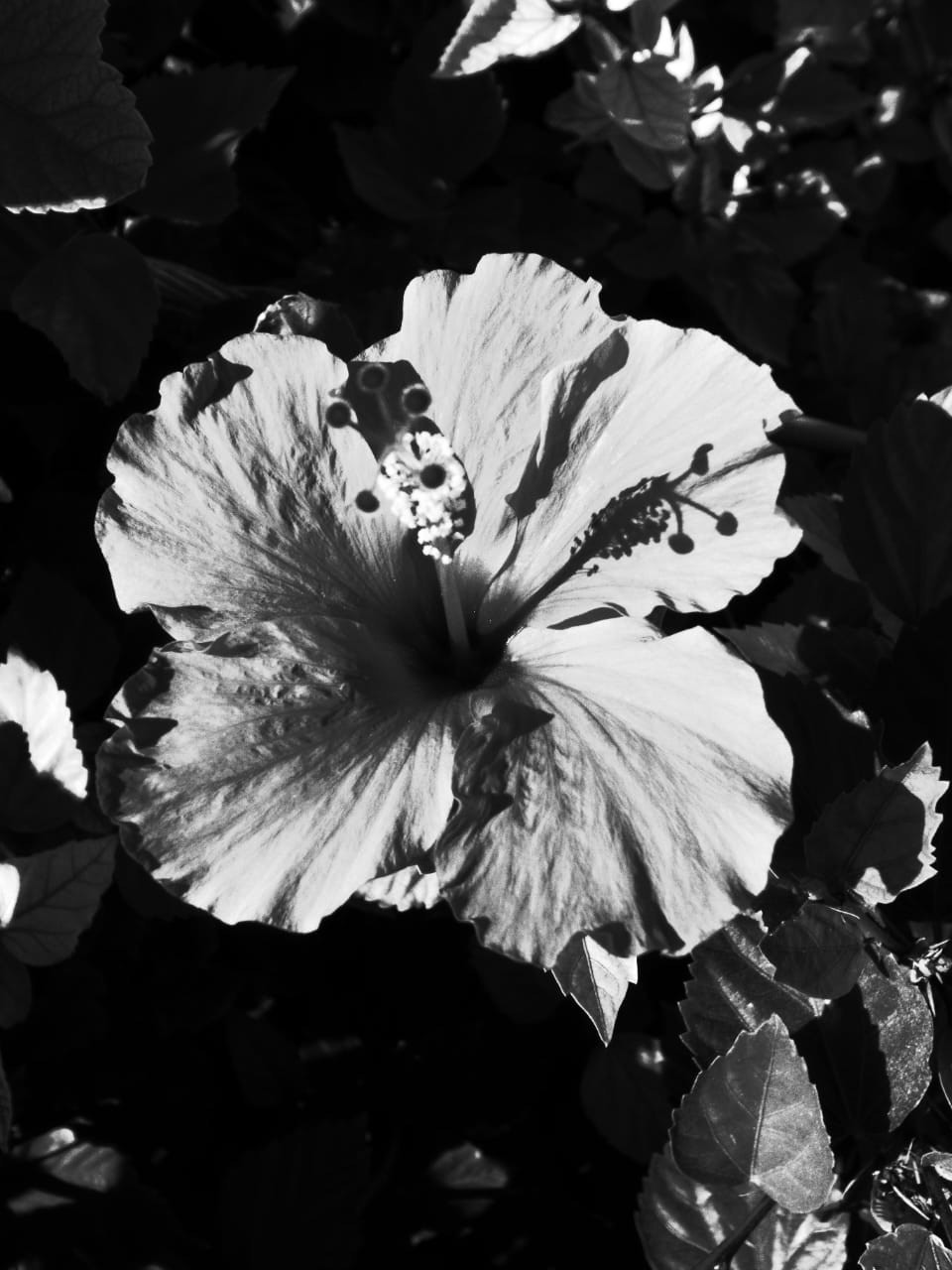 1839 Awards | Nick Stonehouse | Honorable Mention (Conceptual/Abstract)