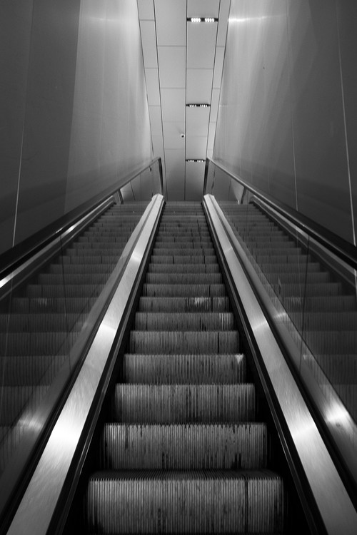 1839 Awards | Axelle Dudouet | Nominee (Architecture)